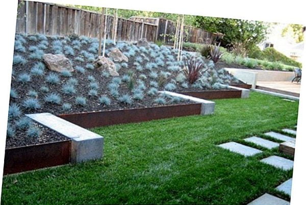 Diy Garden Border Ideas to Bring Beauty to Outdoor