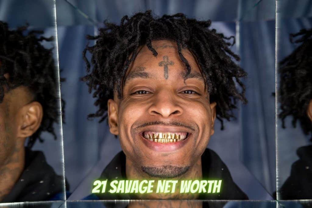 Hyconn’s Estimated Net Worth for 2024 (Before and After Shark Tank)