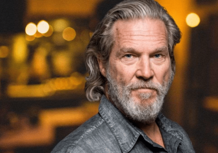 Who is Jessica Lily Bridges and Her Net worth