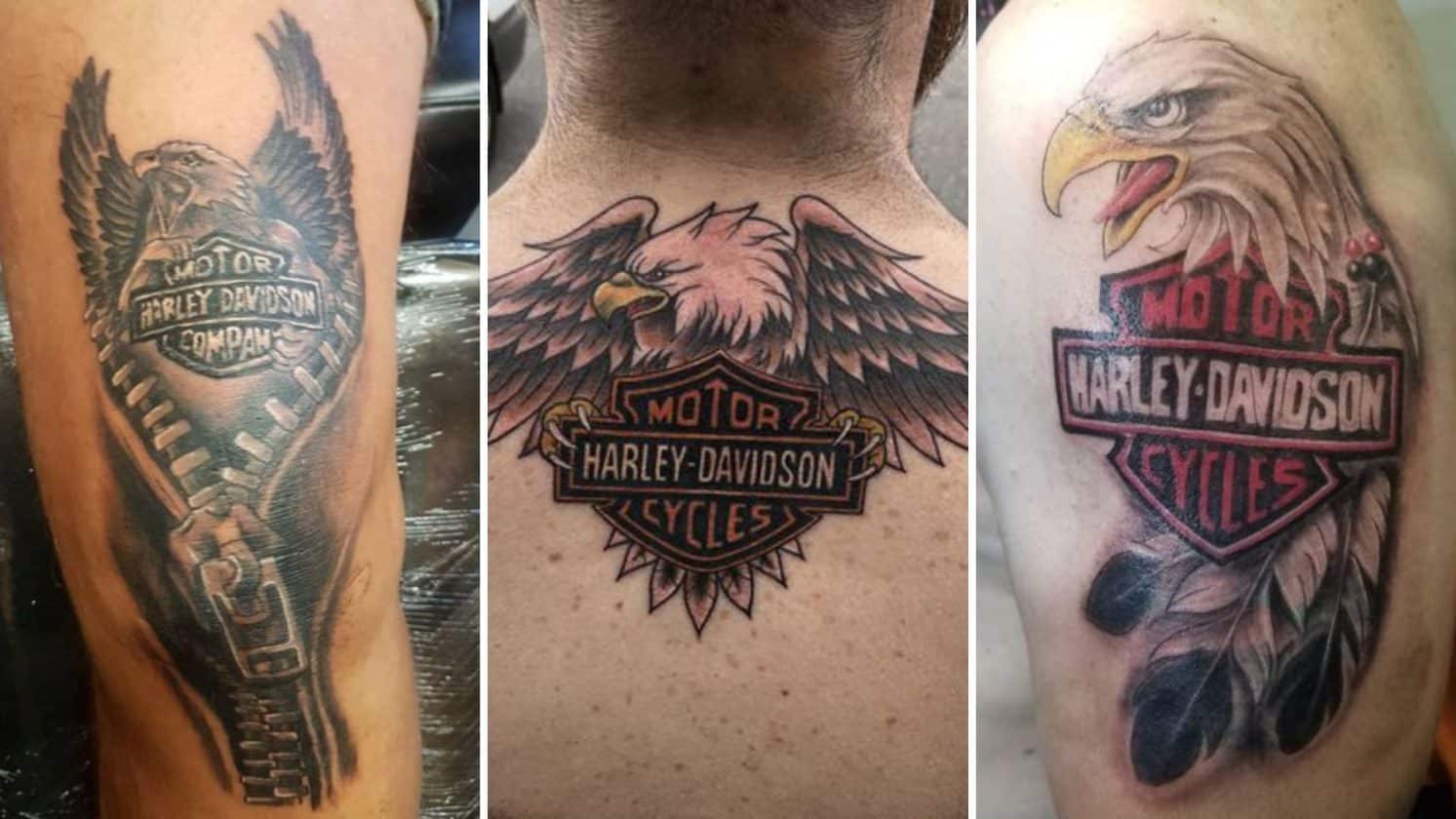 Rolling Thunder on Skin: 70+ Harley Tattoos That Roar