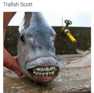 What is the Travis Scott fish Meme?